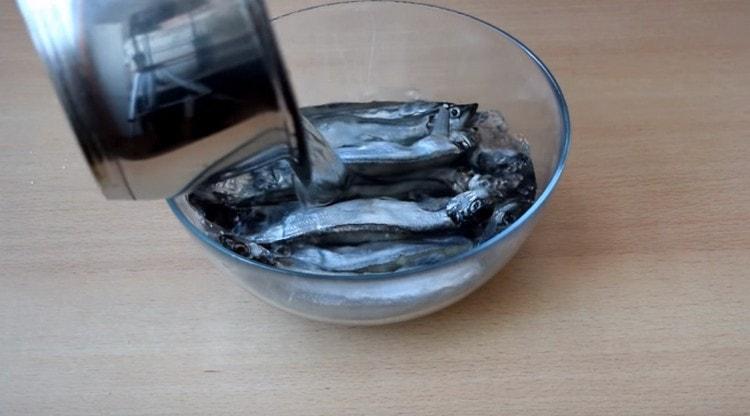 How to salt capelin - a step-by-step recipe 🐟 with photo